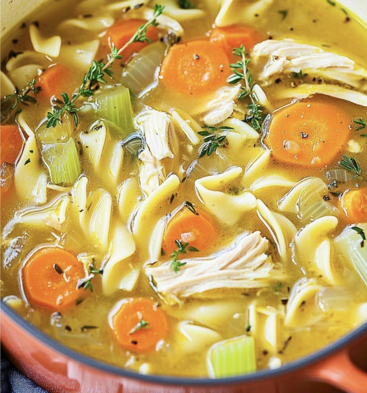 Ultimate Healing Chicken Noodle Soup - DEESVIRAL